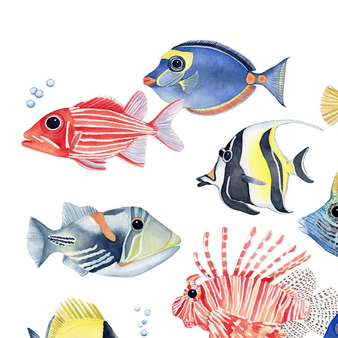 Tropical Fish Art Print / Tropical Fish Watercolor Art / Fish Art Print ...