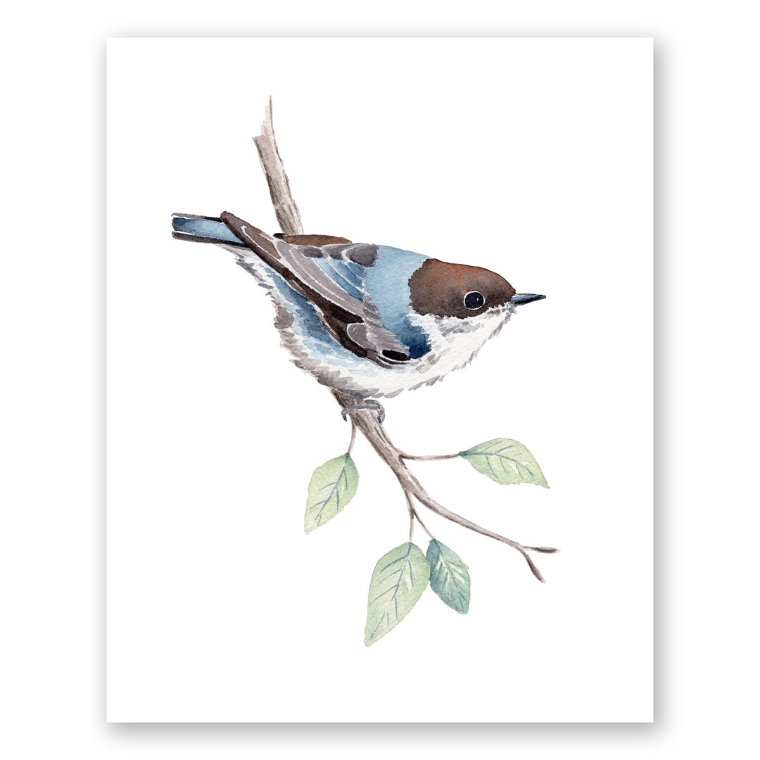 Nuthatch on a Branch Art Print / Nuthatch Bird Watercolor Art Print ...