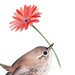 Wren With Flower Watercolor Art Print / Watercolor Wren Print / Bird ...