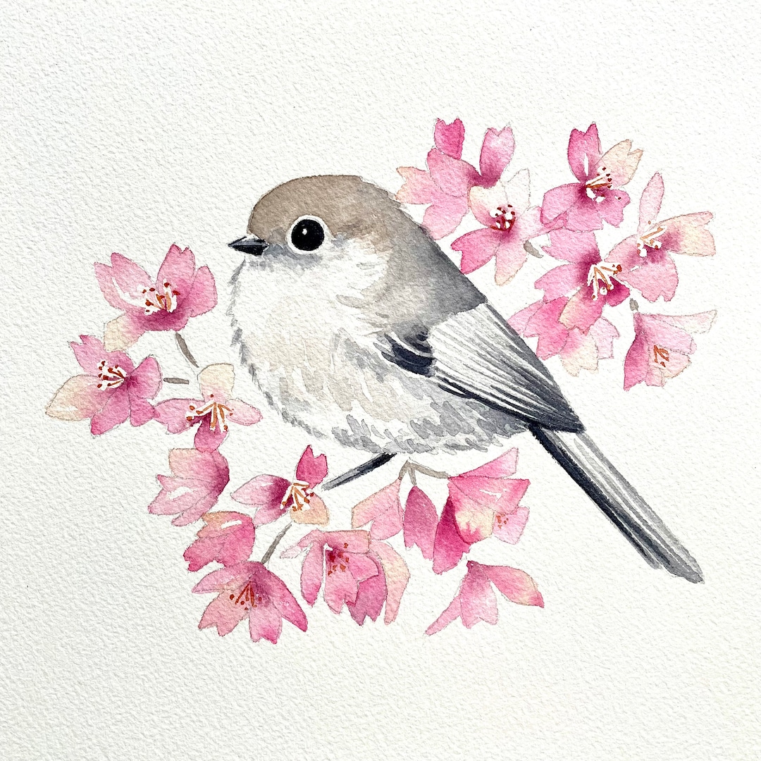 8"x10" Bird in Cherry Blossoms Original Watercolor Painting / Bird ...