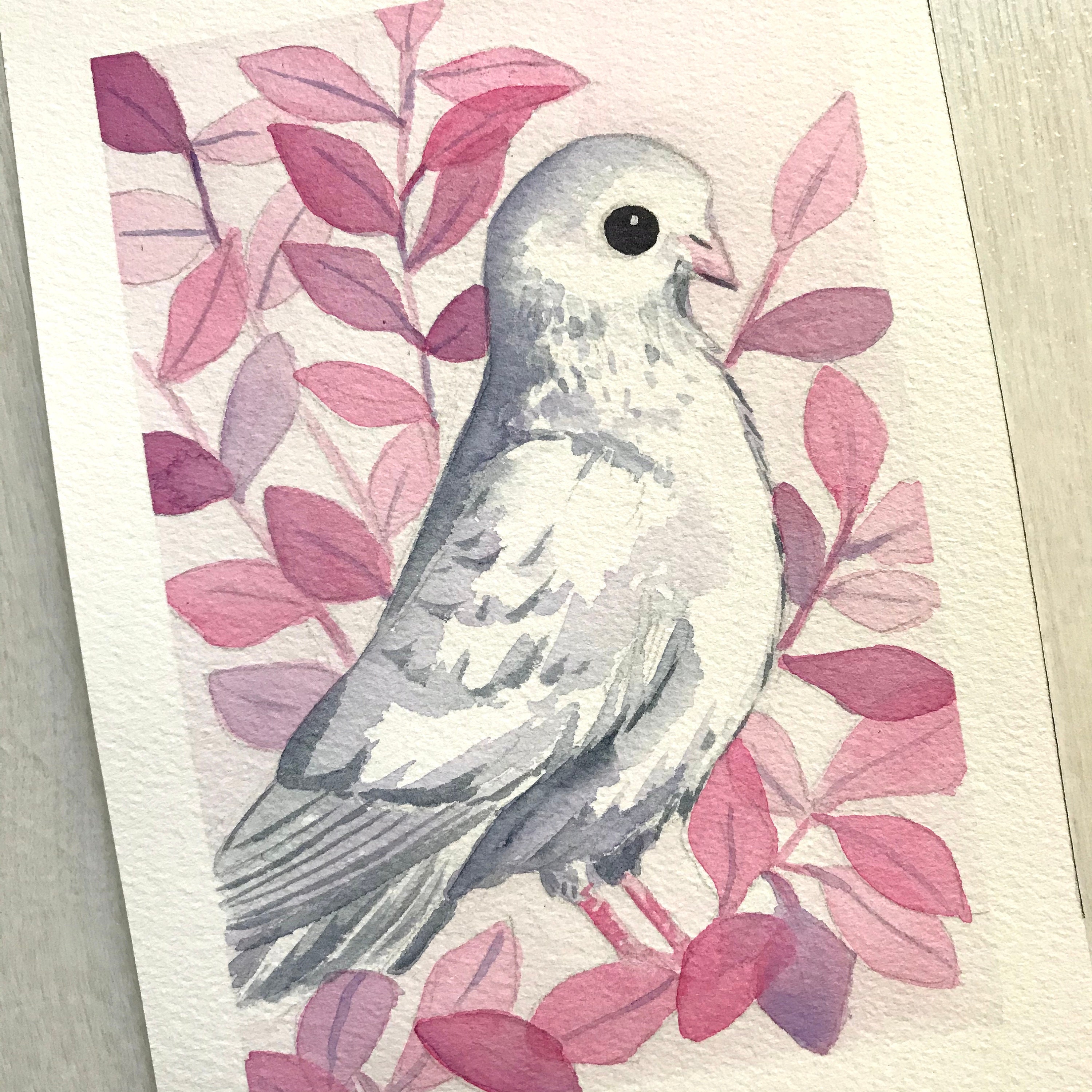 Dove Bird Original Watercolor Painting / Dove Painting / Cute | Etsy
