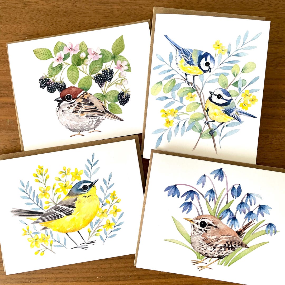 Bird Bundle! / Set of 4 Illustrated Bird Cards / Bird Card Pack ...