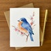 Set of 4 Illustrated Bird Cards / Blue Bird Card Pack / Bird - Etsy