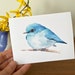 Set of 4 Illustrated Bird Cards / Blue Bird Card Pack / Bird - Etsy