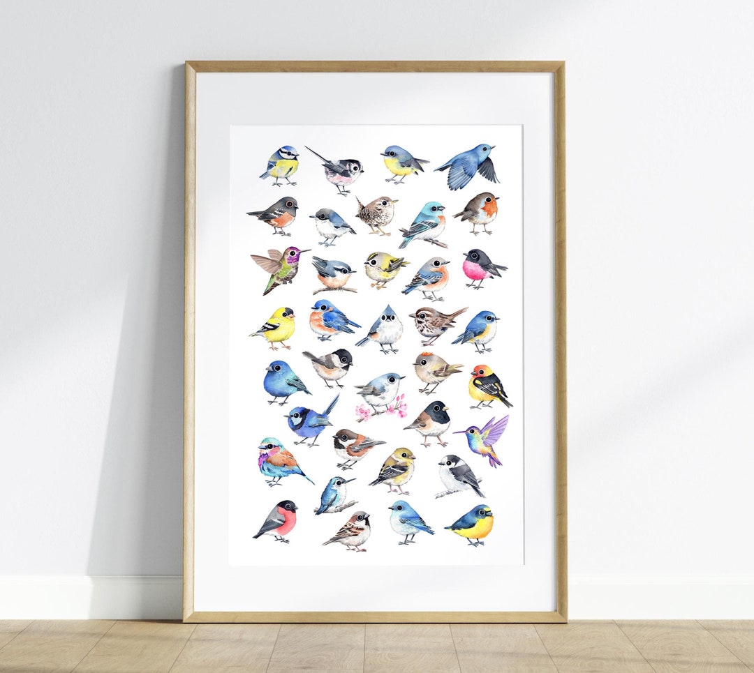 13" X 19" Feathered Friends Bird Print, Beautiful Bird Poster, Birds ...