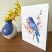Set of 4 Illustrated Bird Cards / Blue Bird Card Pack / Bird - Etsy