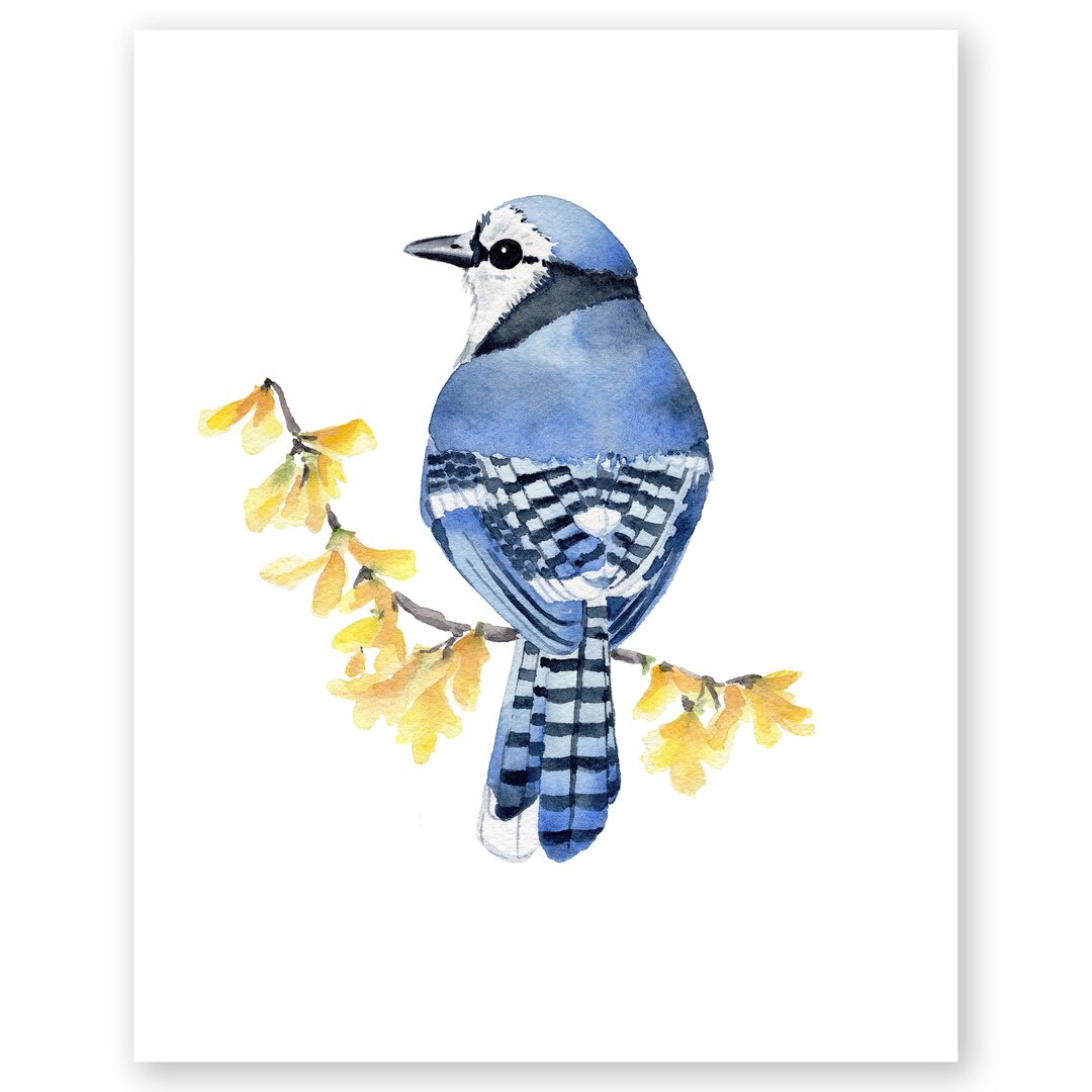 Bluejay Watercolor Art Print / Watercolor Bluejay Print / Watercolor ...