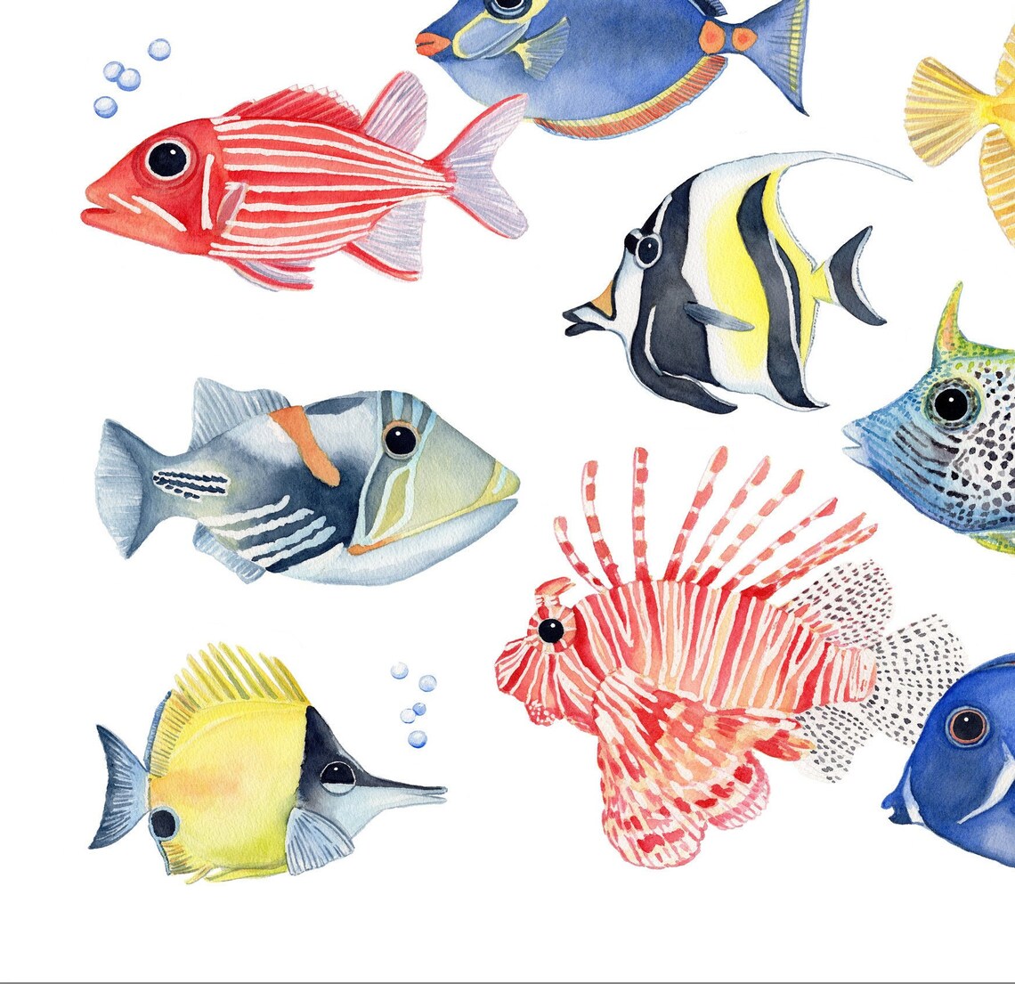 Tropical Fish Art Print / Tropical Fish Watercolor Art / Fish Art Print ...