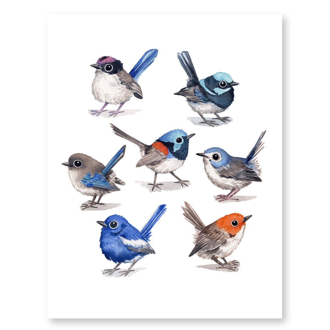 Australian Wrens Art Print / Fairy Wren Art Print / Fairy Wren | Etsy