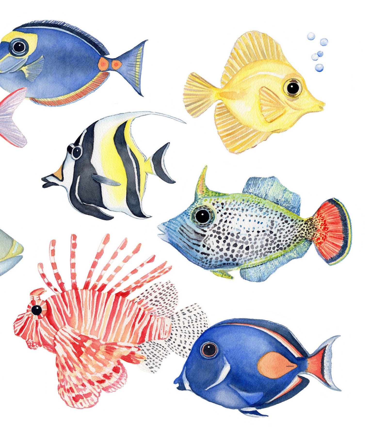 Tropical Fish Art Print / Tropical Fish Watercolor Art / Fish Art Print ...