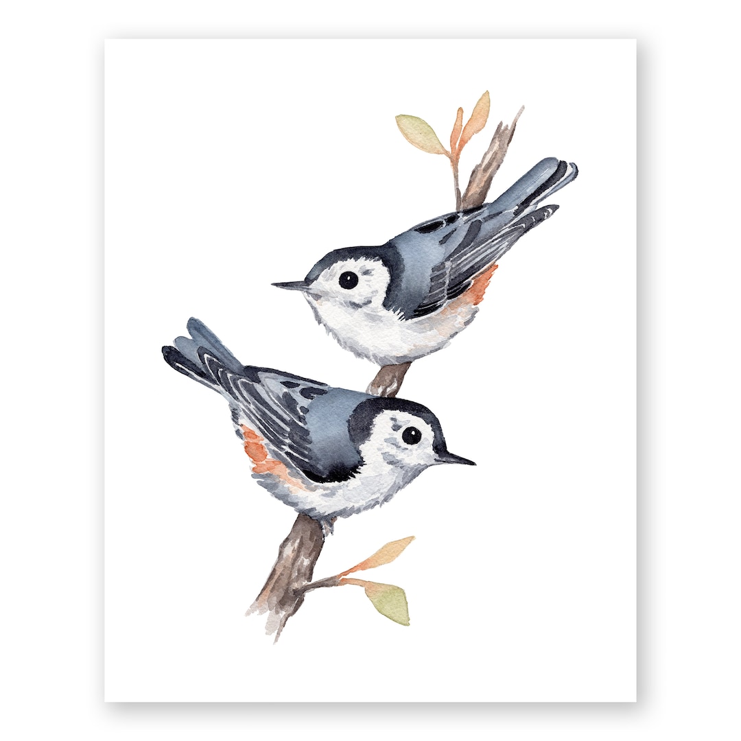 White-breasted Nuthatch Watercolor Print / 8"x10" Bird Watercolor Print ...