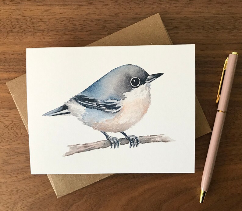 Set of 4 Illustrated Bird Cards / Blue Bird Card Pack / Bird - Etsy