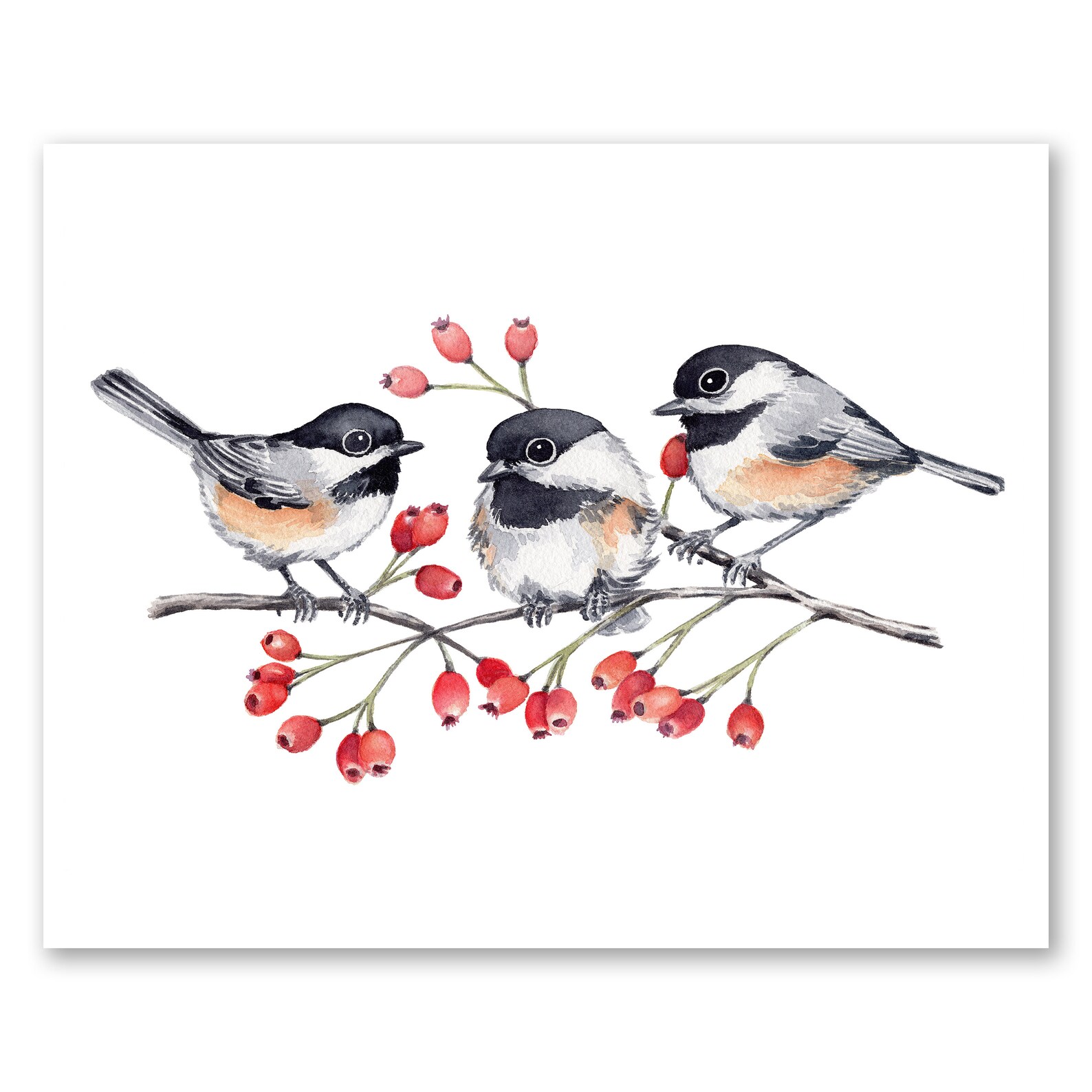 Three Chickadees on a Branch Art Print / Chickadee Art Print / - Etsy
