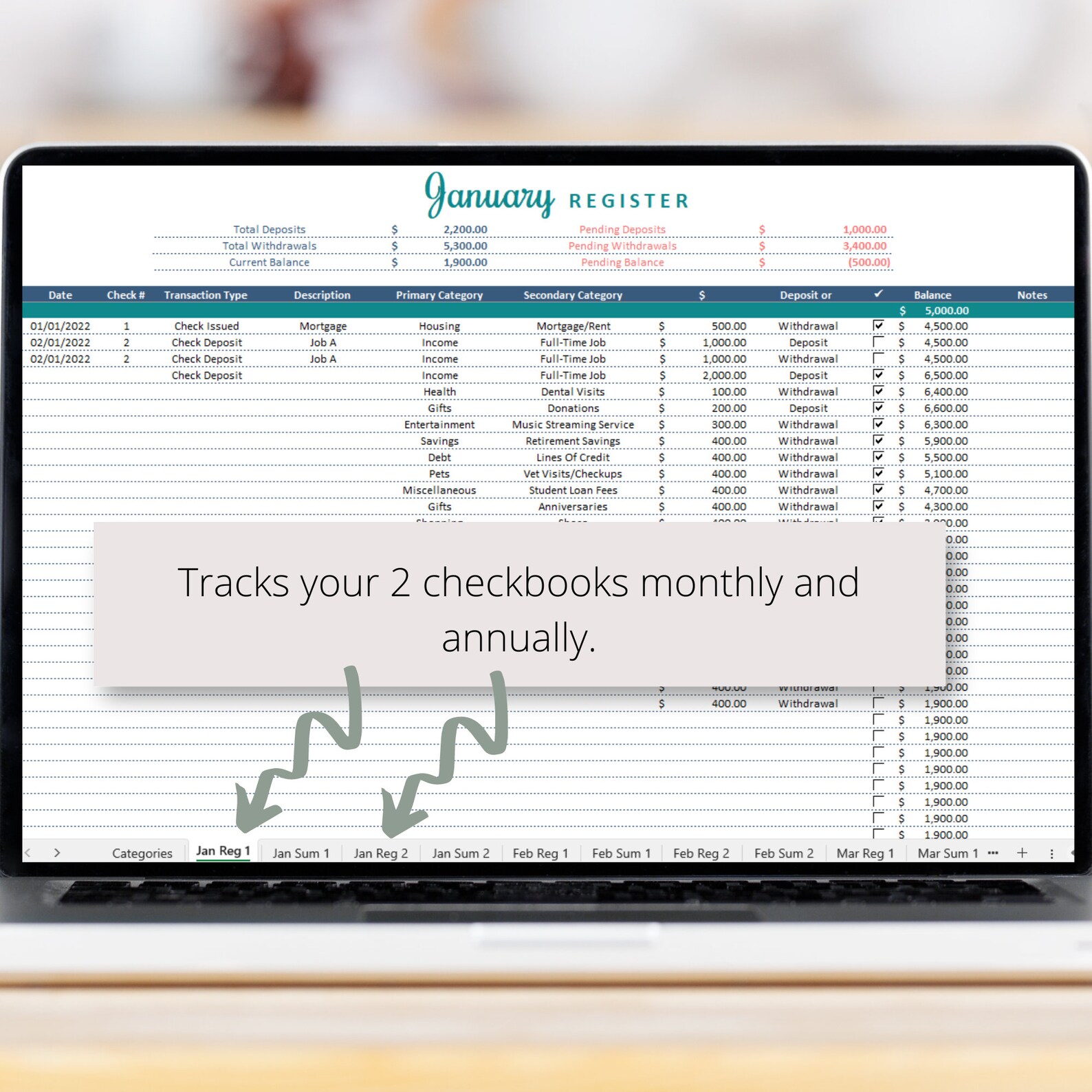 2 Checkbook Registers With Monthly and Annual Summaries Excel ...