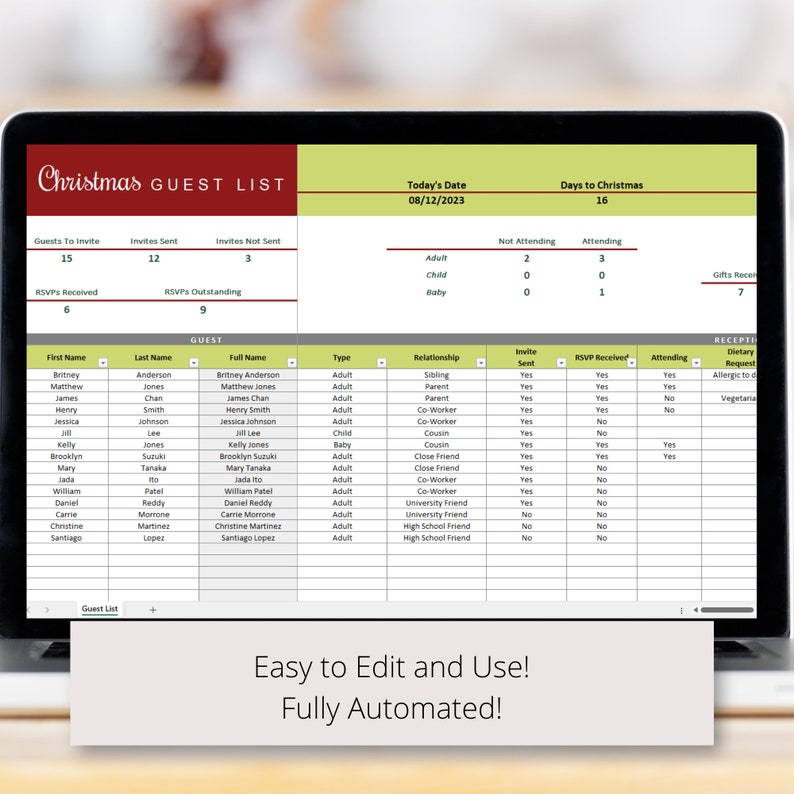 Christmas Party Guest List Tracker Excel Spreadsheet Template - Etsy UK