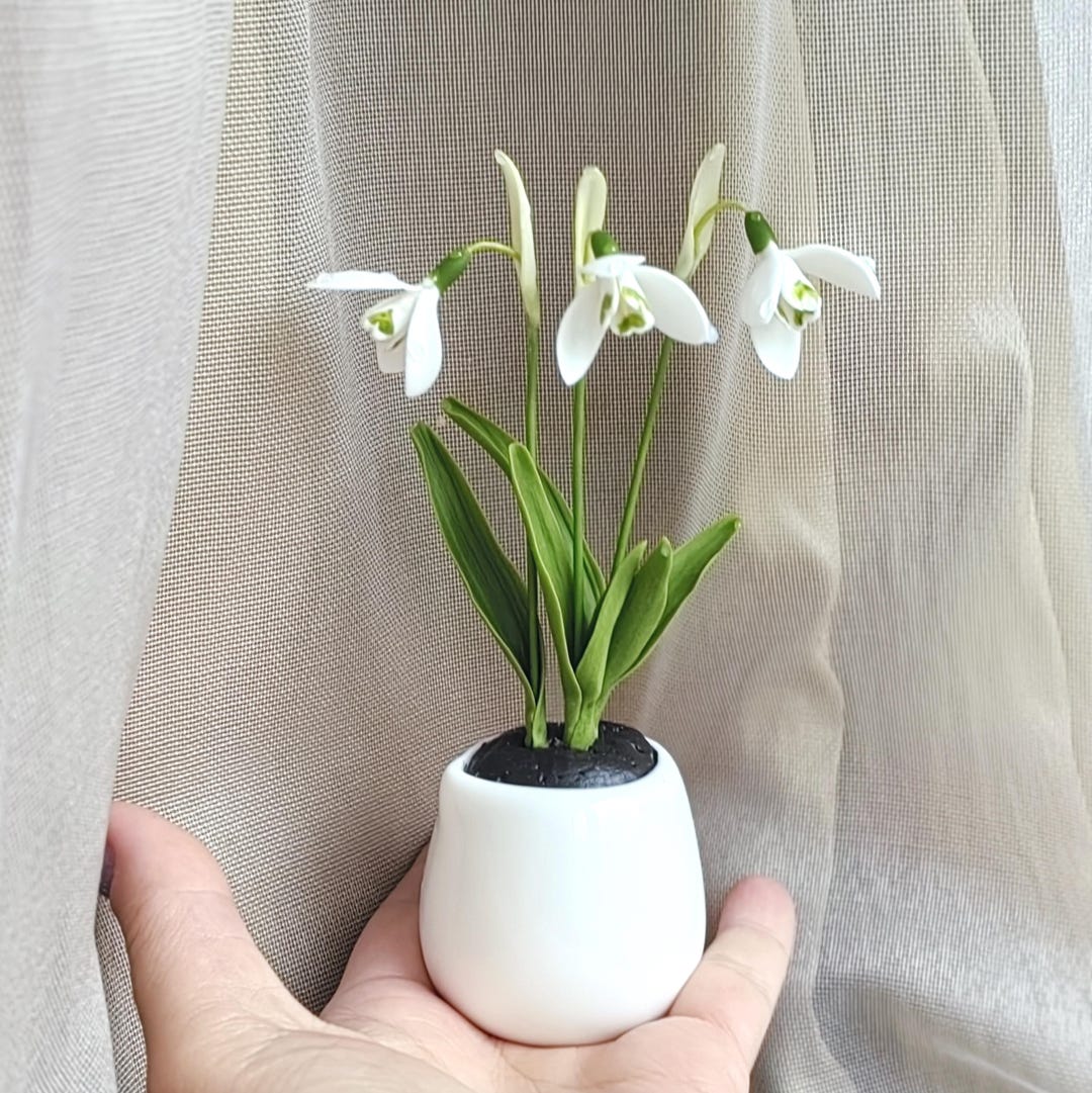 Snowdrop Cold Porcelain Flowers in a Milk Jug Snowdrops for Gift Real ...