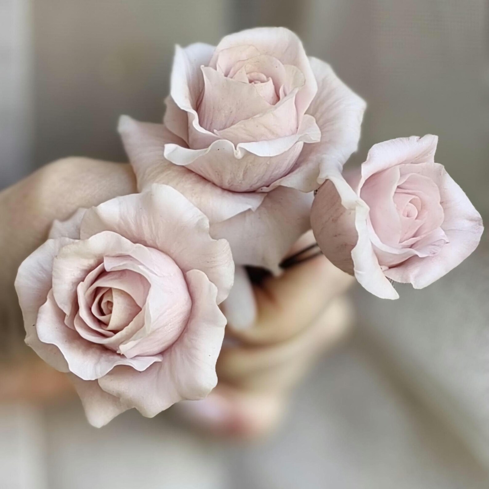 Pale Pink Rose Hair Pins, Real Touch Flower Bridal Accessories - Etsy