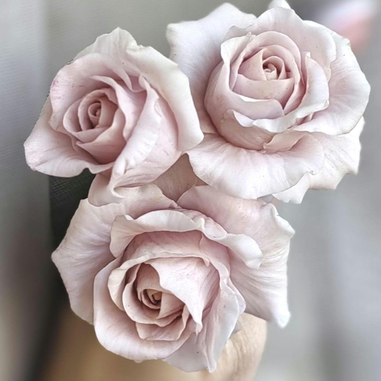 Pale Pink Rose Hair Pins, Real Touch Flower Bridal Accessories - Etsy