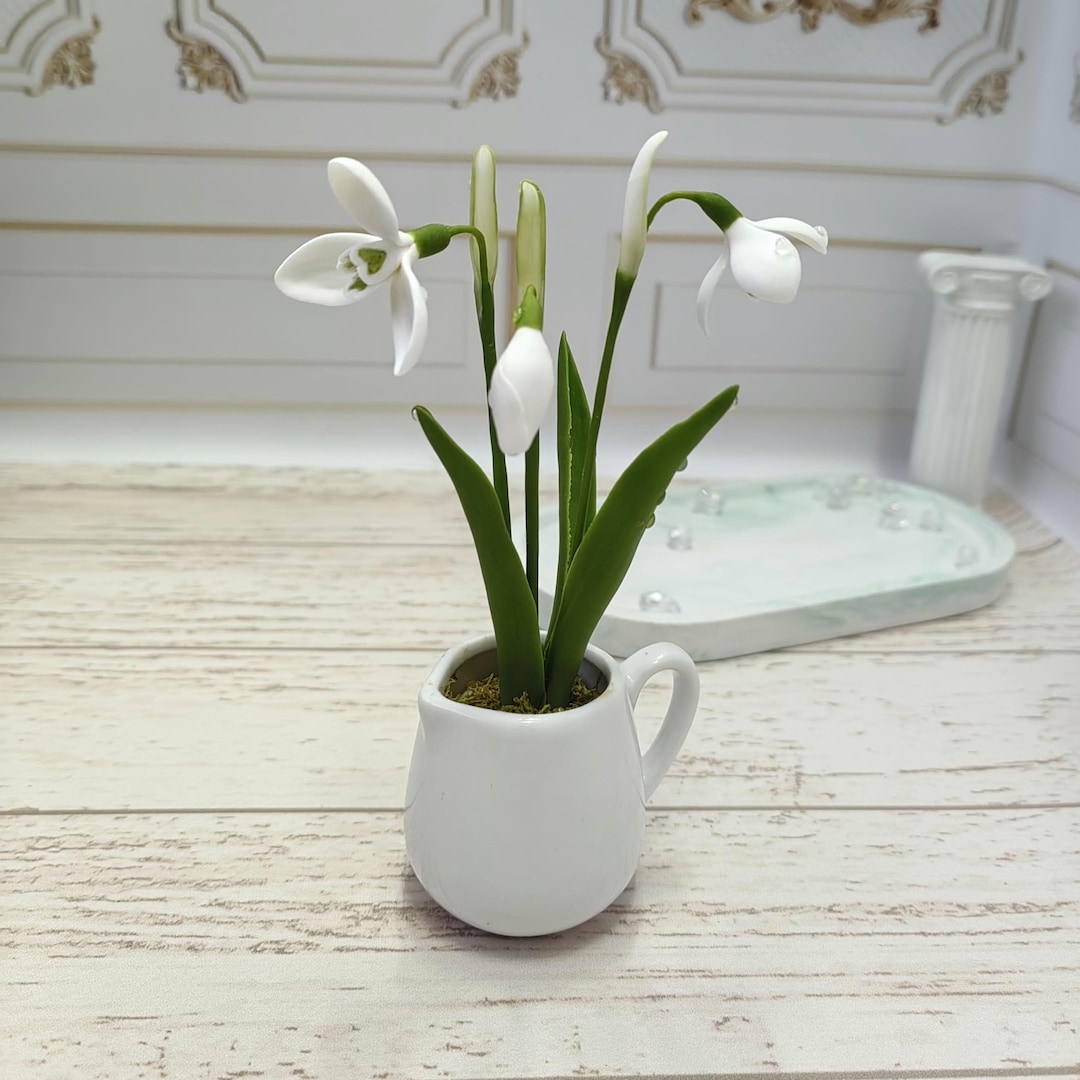 Snowdrop Cold Porcelain Flowers in a Milk Jug Snowdrops for Gift Real ...