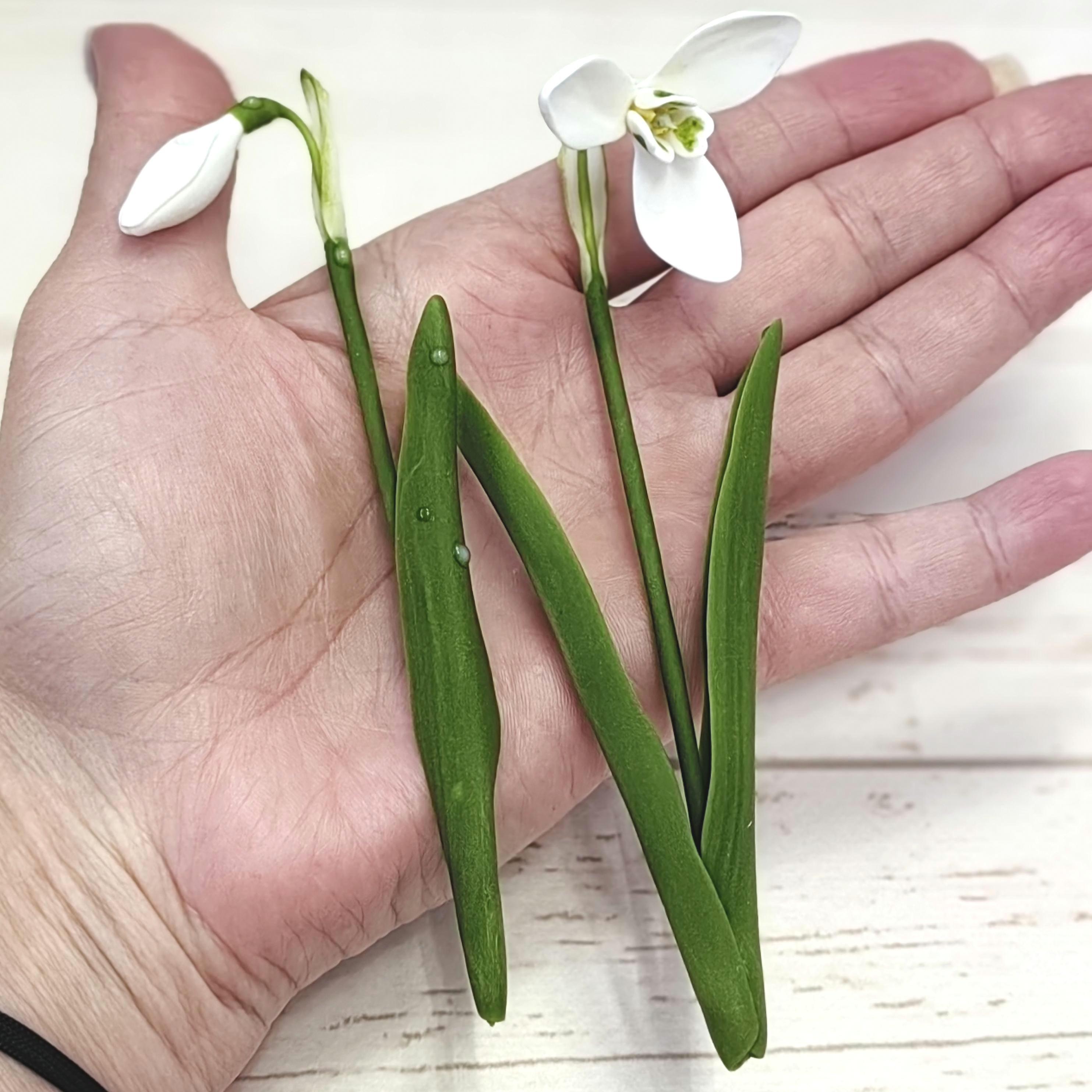 Snowdrops Real Touch Flowers Polymer Clay Artificial Snowdrop Flower ...