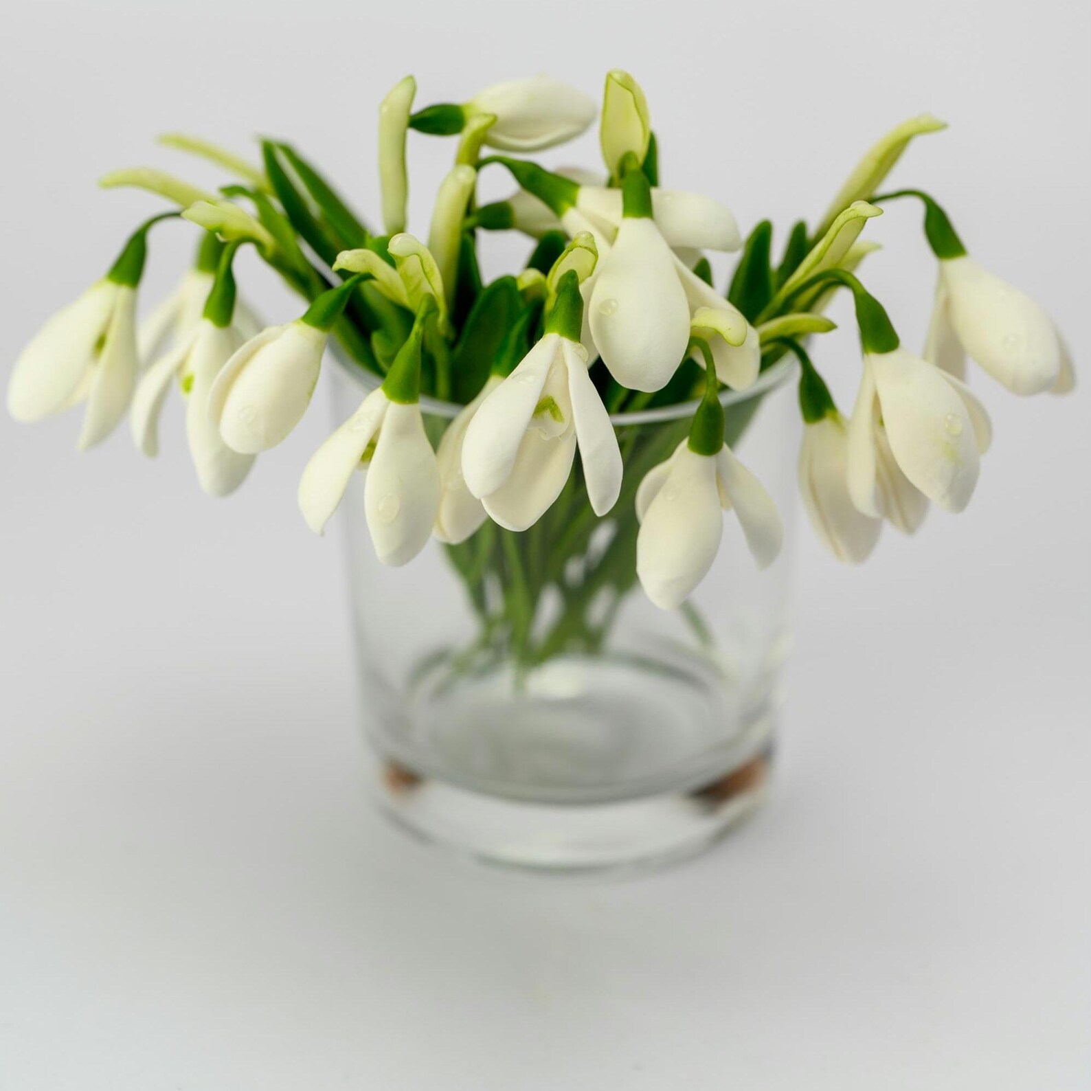 Snowdrops Real Touch Flowers Polymer Clay Artificial Snowdrop Flower ...