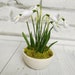 Snowdrops Real Touch Flowers Polymer Clay Artificial Snowdrop Flower ...