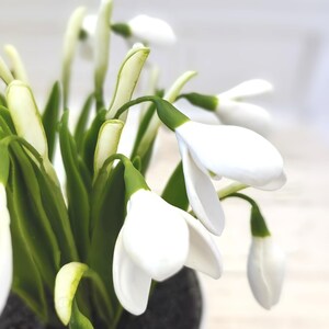 Realistic Handmade Snowdrops - Polymer Clay & Cold Porcelain Floral ...