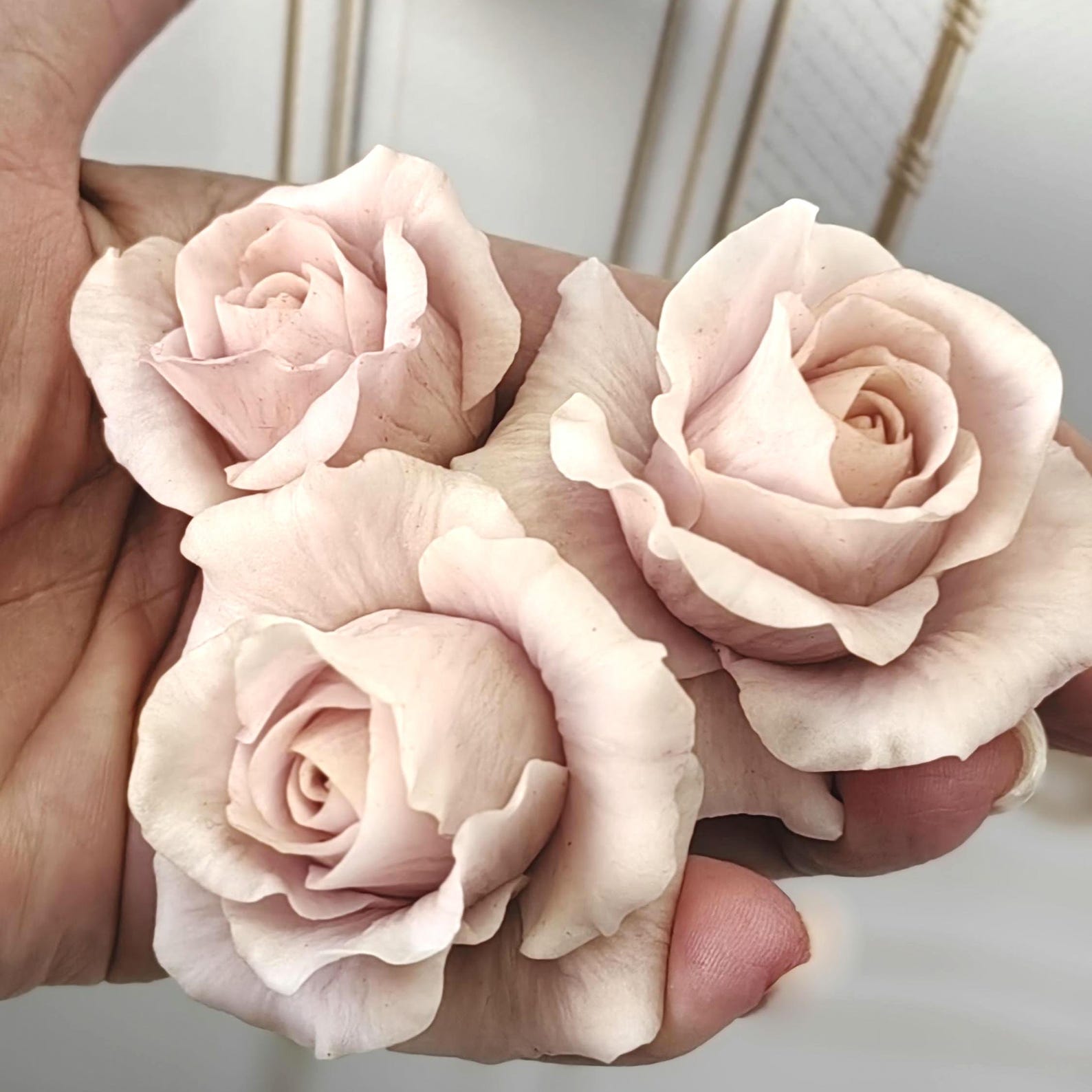 Pale Pink Rose Hair Pins, Real Touch Flower Bridal Accessories - Etsy