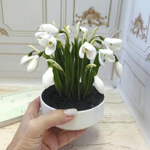 Realistic Handmade Snowdrops - Polymer Clay & Cold Porcelain Floral ...