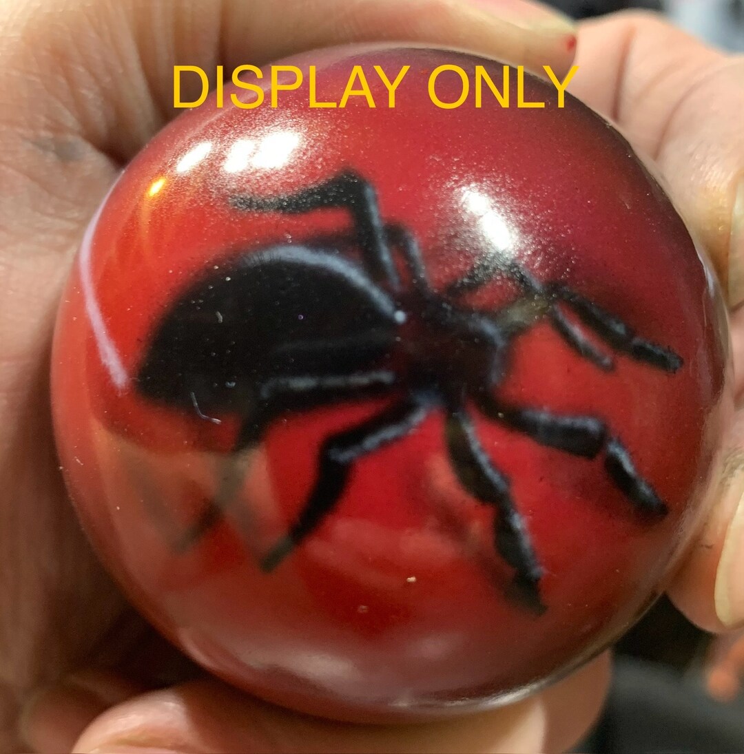 Airbrushed Billiard Ball - Spider - Etsy