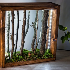 LED Table Lamp With Real Natural Elements - Etsy