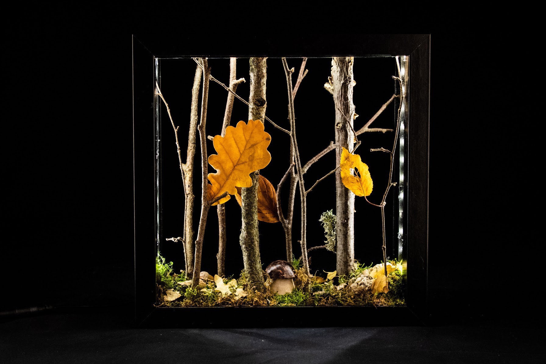 LED table lamp with real natural elements | Etsy