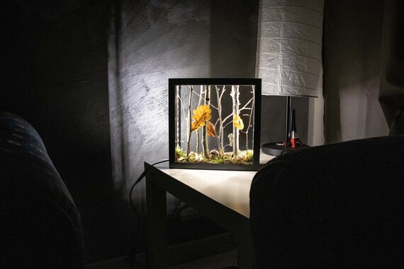 LED table lamp with real natural elements | Etsy