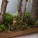 LED Table Lamp With Real Natural Elements - Etsy