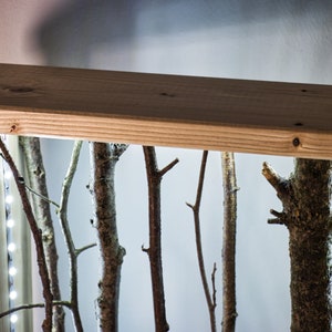 LED Table Lamp With Real Natural Elements - Etsy