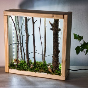 LED Table Lamp With Real Natural Elements - Etsy
