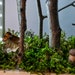 LED Table Lamp With Real Natural Elements - Etsy