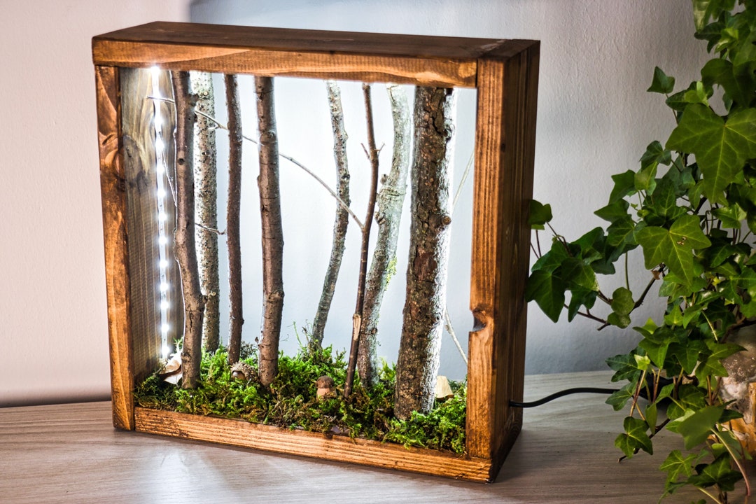 LED Table Lamp With Real Natural Elements - Etsy