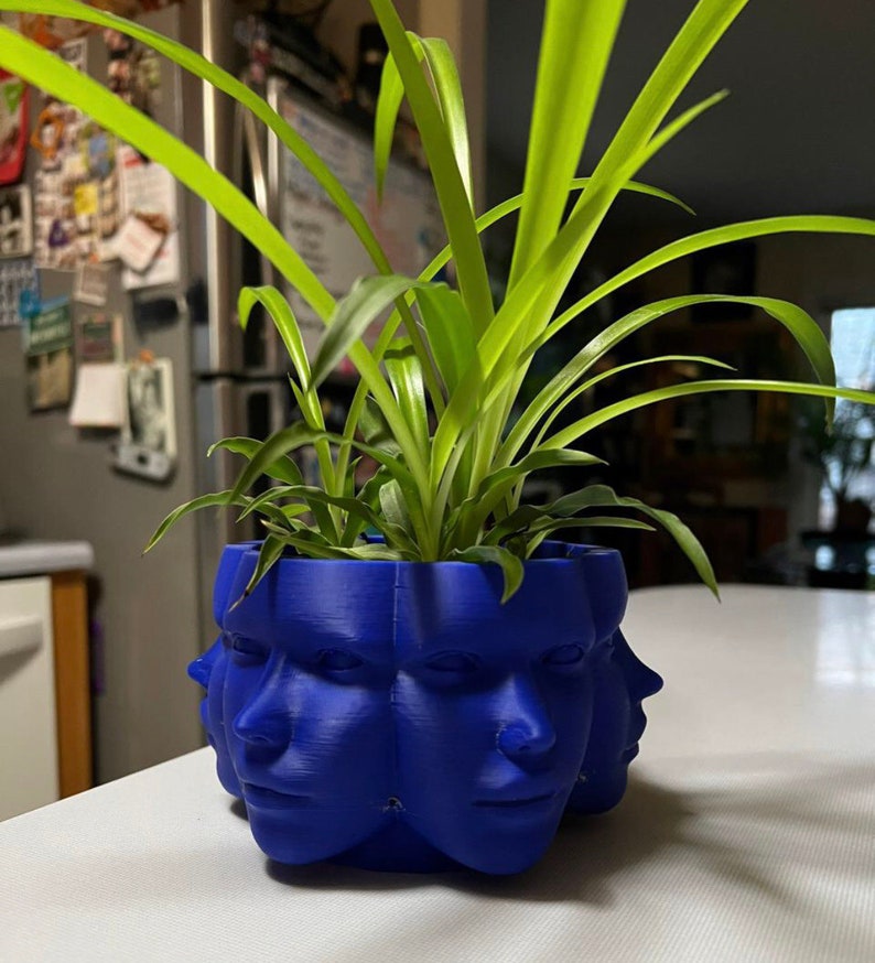 3D Printed Multi-face Vase Bowl Plant Holder Gift Unique - Etsy