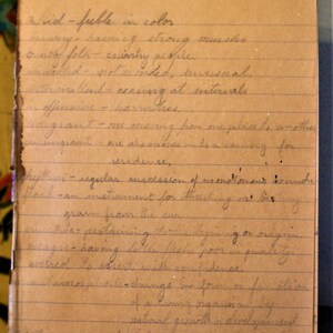 1920's High School Notebook + Liberty, Missouri + English Class ...