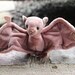 1996 RETIRED Original + Batty the Bat + TY Beanie Baby + Mint + Tag ...
