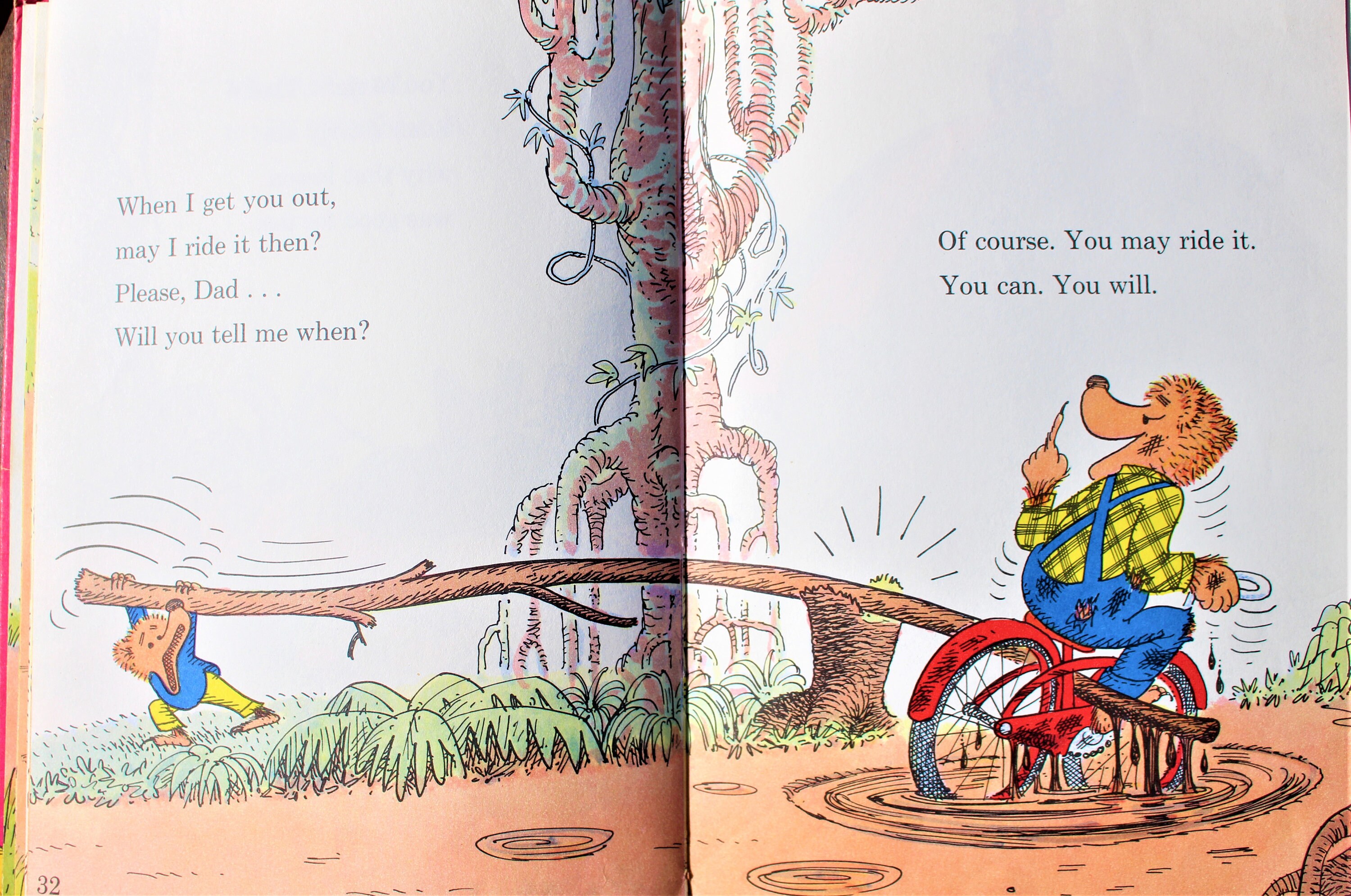 Vintage Books + 1964 Berenstain Bears Book + the Bike Lesson + Vintage ...