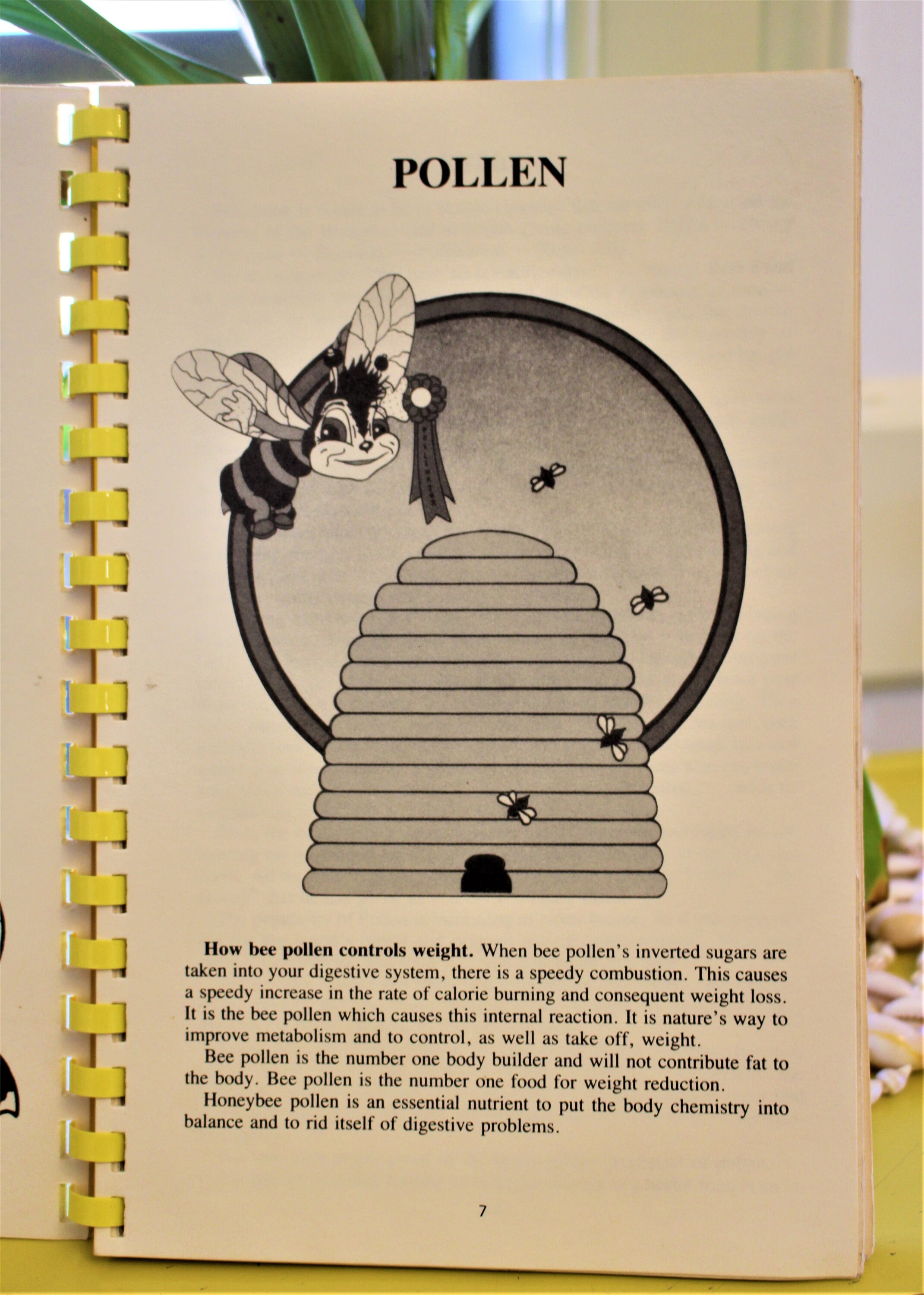 Vintage Bees Save the Bees Vintage Books Honey Bees | Etsy