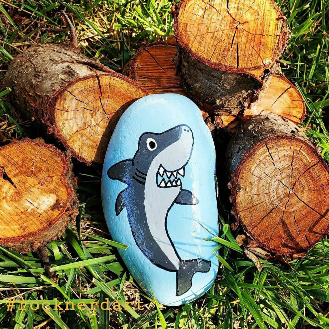 Painted Shark Rock - Etsy