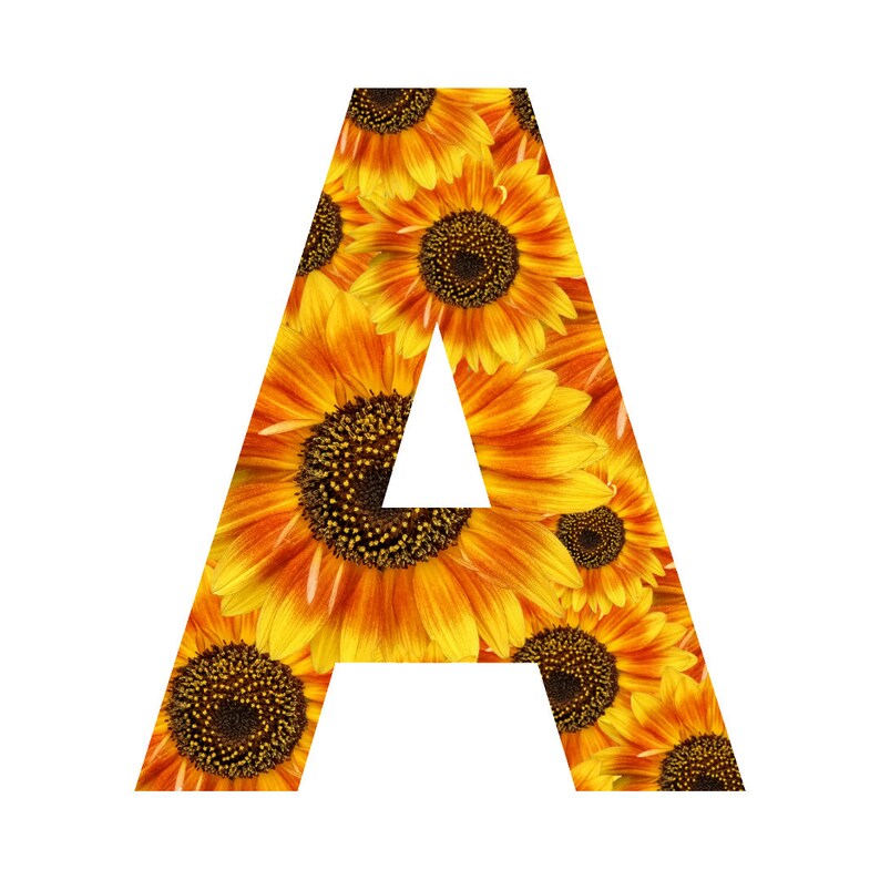 Sunflowers Letters and Numbers, Sunflowers Alphabet, Sunflowers Digital ...