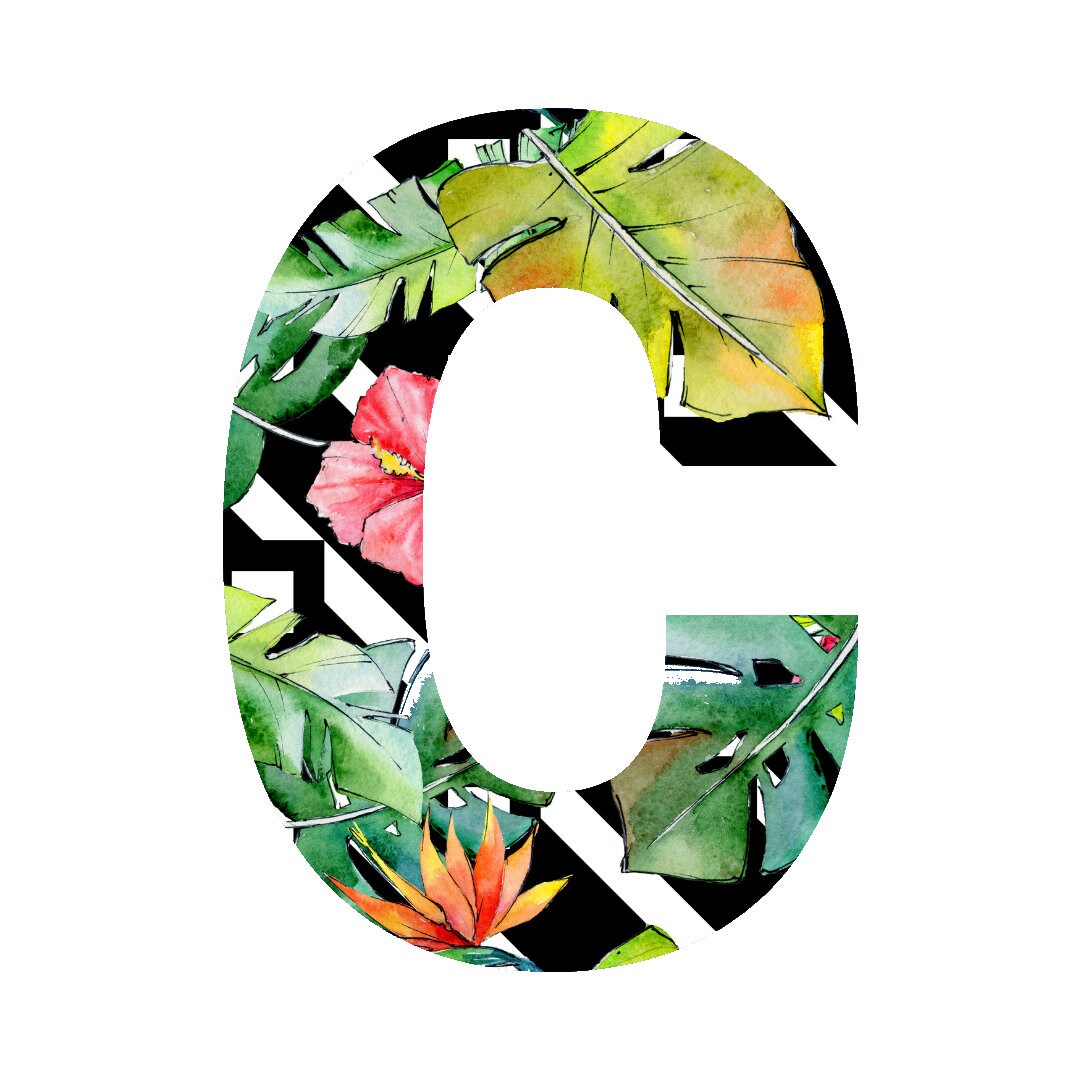 Tropical Letters and Numbers, Tropical Alphabet, Tropical Digital ...