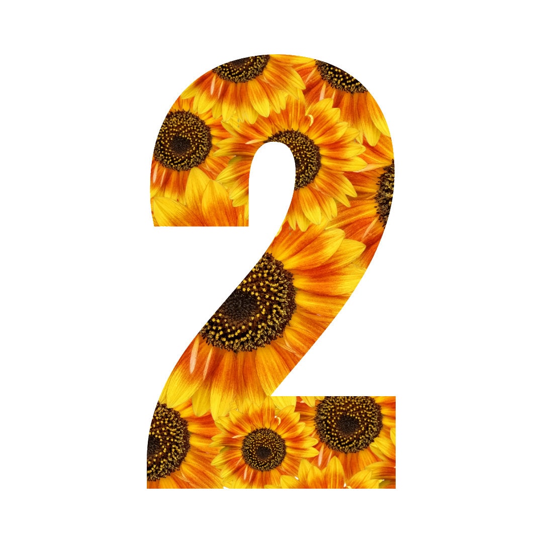 Sunflowers Letters and Numbers, Sunflowers Alphabet, Sunflowers Digital ...