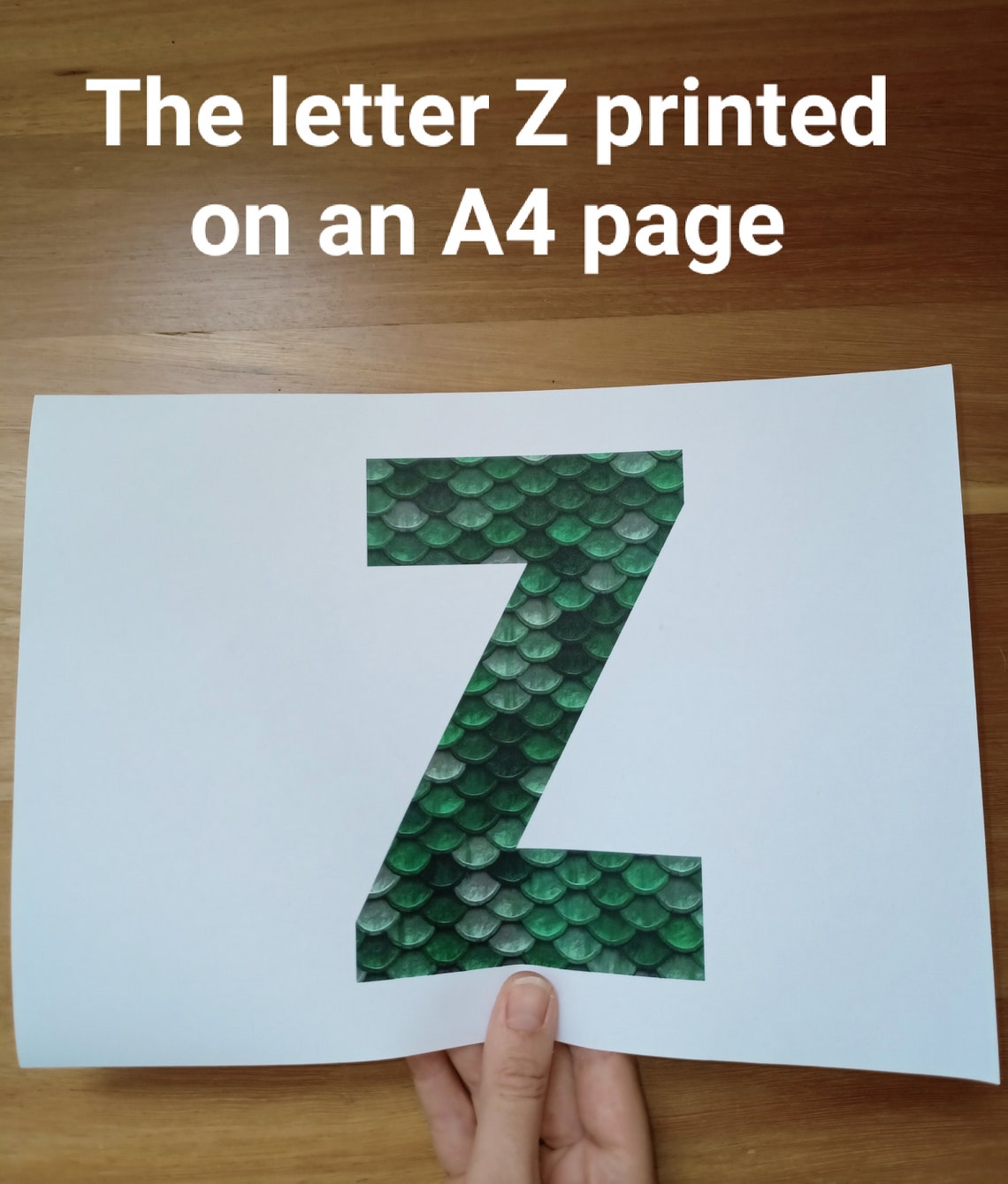 Dragon Scales Letters and Numbers Dragon Scales Alphabet - Etsy