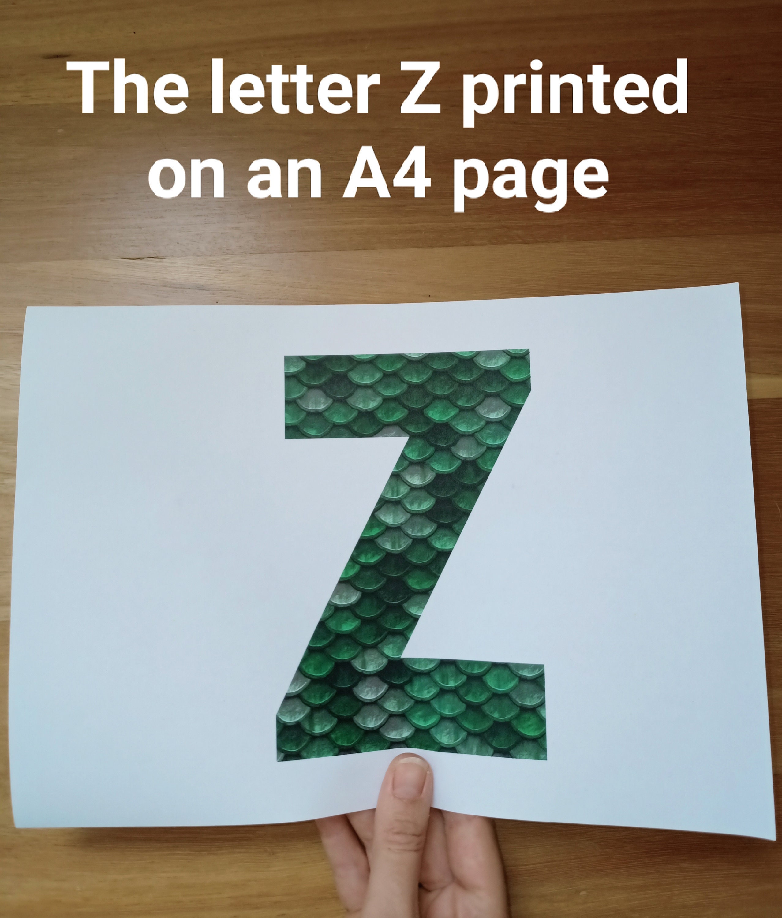 Dragon Scales Letters and Numbers, Dragon Scales Alphabet, Dragon ...