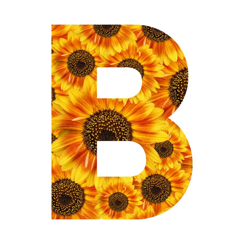 Sunflowers Letters and Numbers, Sunflowers Alphabet, Sunflowers Digital ...